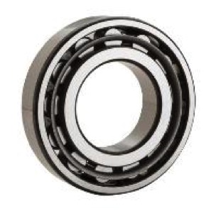 Rulment N304 NACHI - rulmentika.ro