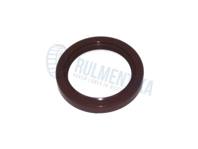 Simering 100X125X12 VITON - Rulmentika.ro